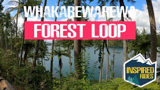 Whakarewarewa Forest Loop (Official) Mountain Biking Route | Trailforks