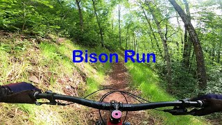 Bison Run Mountain Biking Trail - Crosby, Minnesota