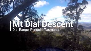 Mt Dial walking track (Penguin/Cradle Trail) Hiking Trail - Penguin