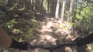 The Dewdney Trail Mountain Biking Trail - Rossland