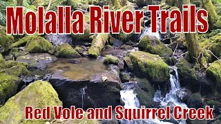 Molalla River Trail System Mountain Biking Trails | Trailforks