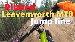 Ribbed Mountain Biking Trail - Leavenworth, Washington