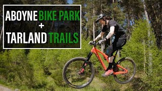The Red Squirrel Mountain Biking Trail - Tarland
