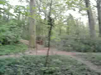 Everywhere You Go: Chunk And Flow Video | Trailforks