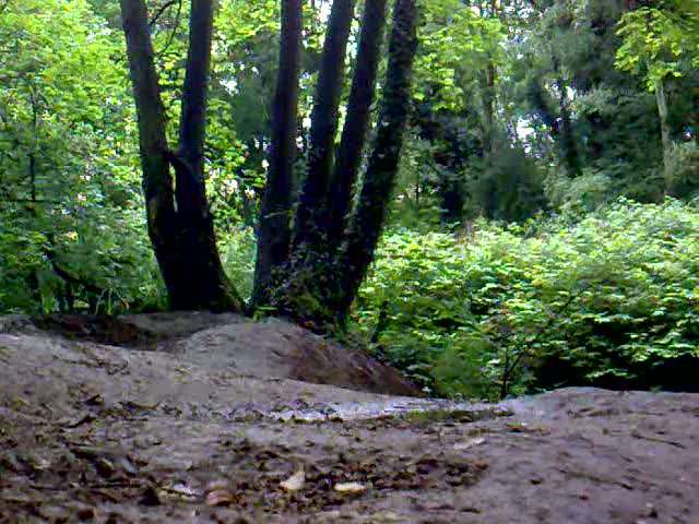 nathan-ty-webster on Pinkbike