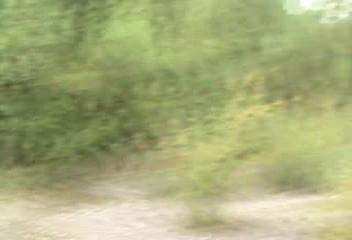 Asham Quarry Video - Pinkbike