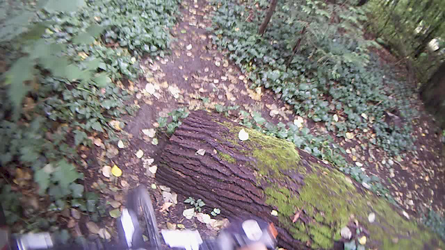SFU: Gravity Bowl Trail Video - Pinkbike