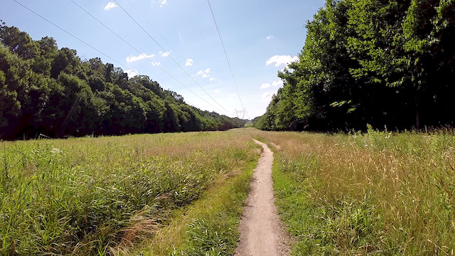 Rockburn Branch Trail/Park Video - Pinkbike