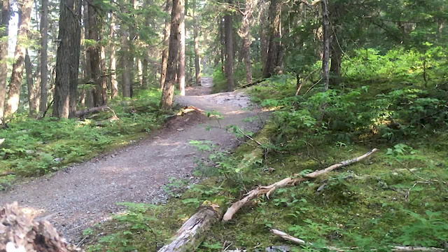 Scandi flick Video - Pinkbike