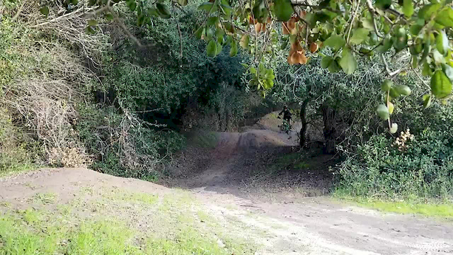 Crash into bush. Friday fails Video - Pinkbike