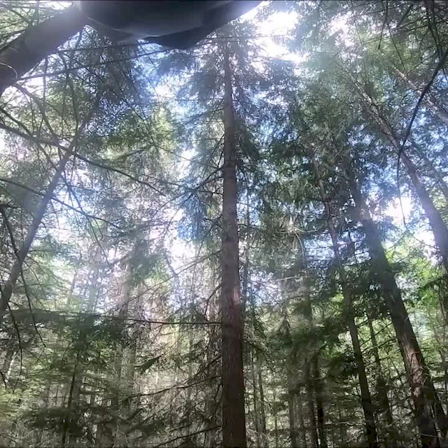 Pemberton Train gap POV Video - Pinkbike