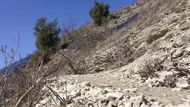 Switchback Turn Video - Pinkbike