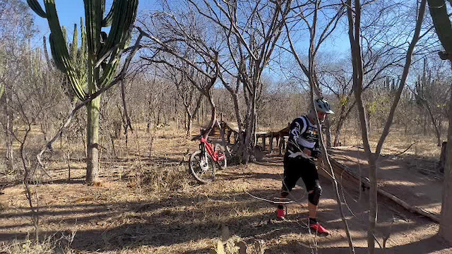 Whale Tail Fail Video - Pinkbike