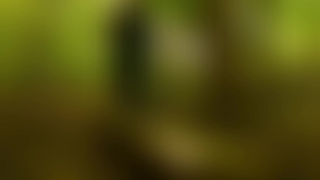 Fall rides at Boler Mountain Video - Pinkbike