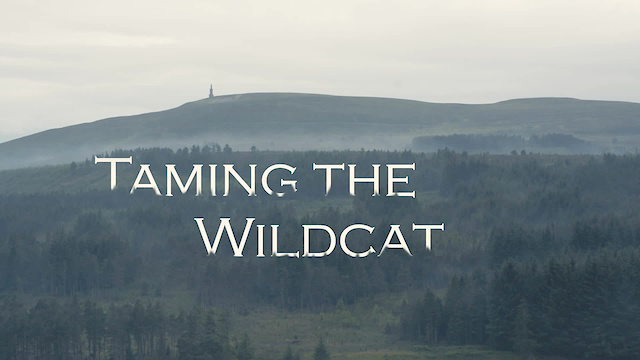 Taming the Wildcat Video - Pinkbike